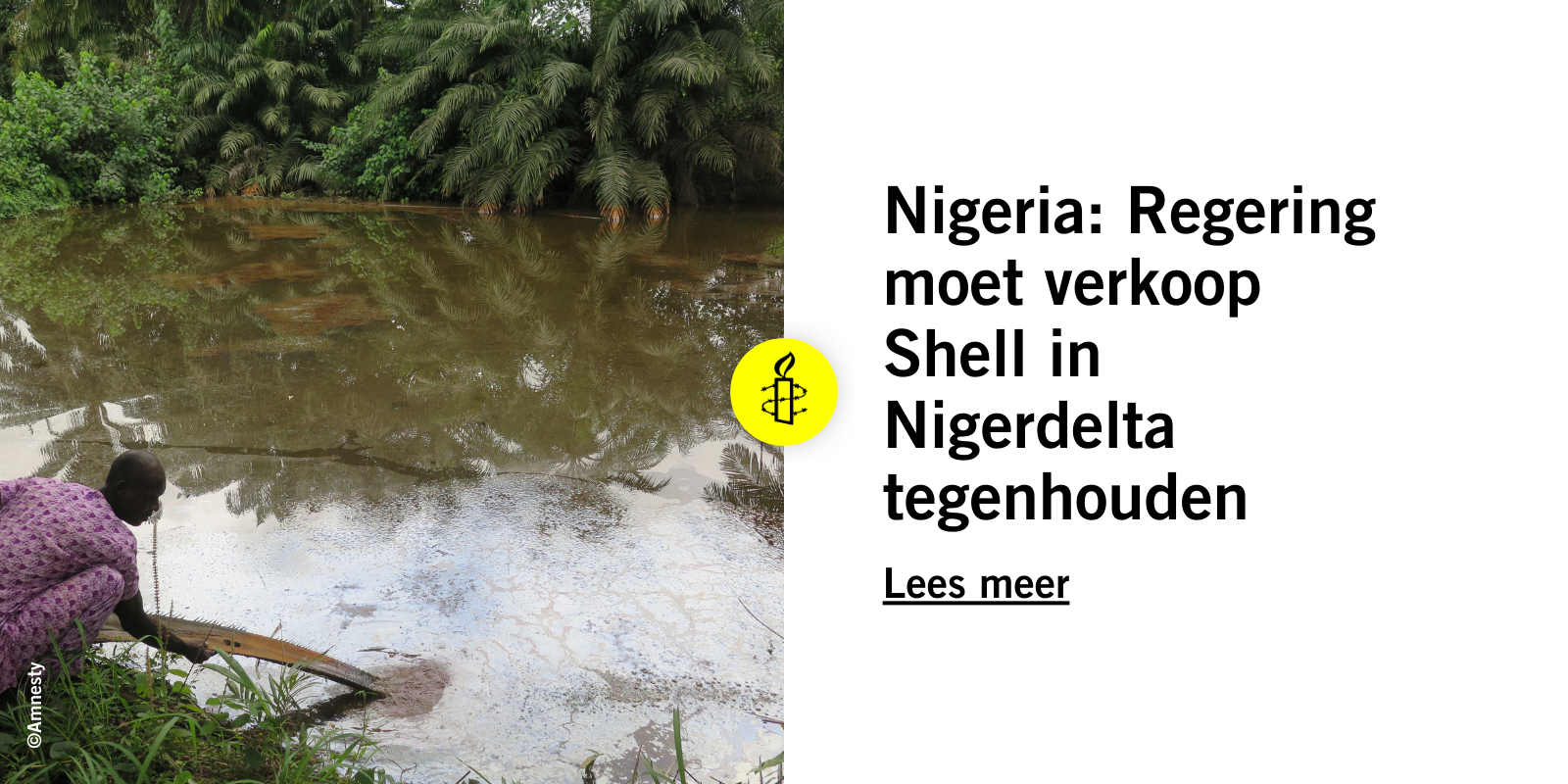 Shell wil onderdeel in Nigerdelta verkopen