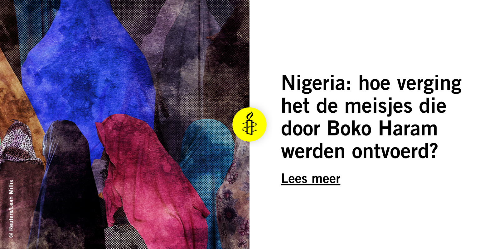 Hoe verging het de meisjes die door Boko Haram zijn ontvoerd?